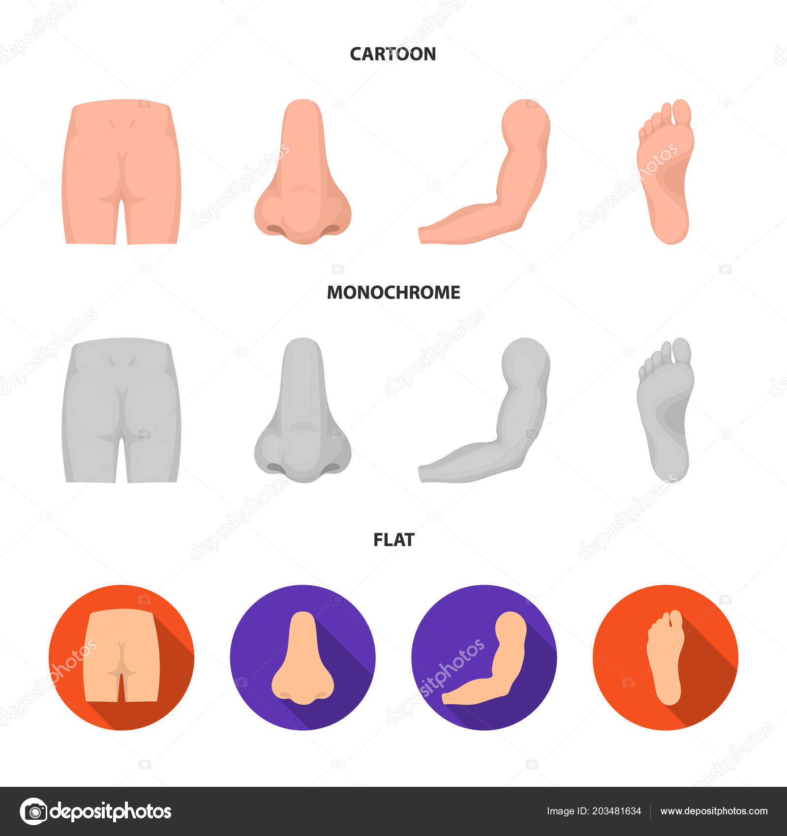 Buttocks, nose, arm, foot. Part of the body set collection icons in ...