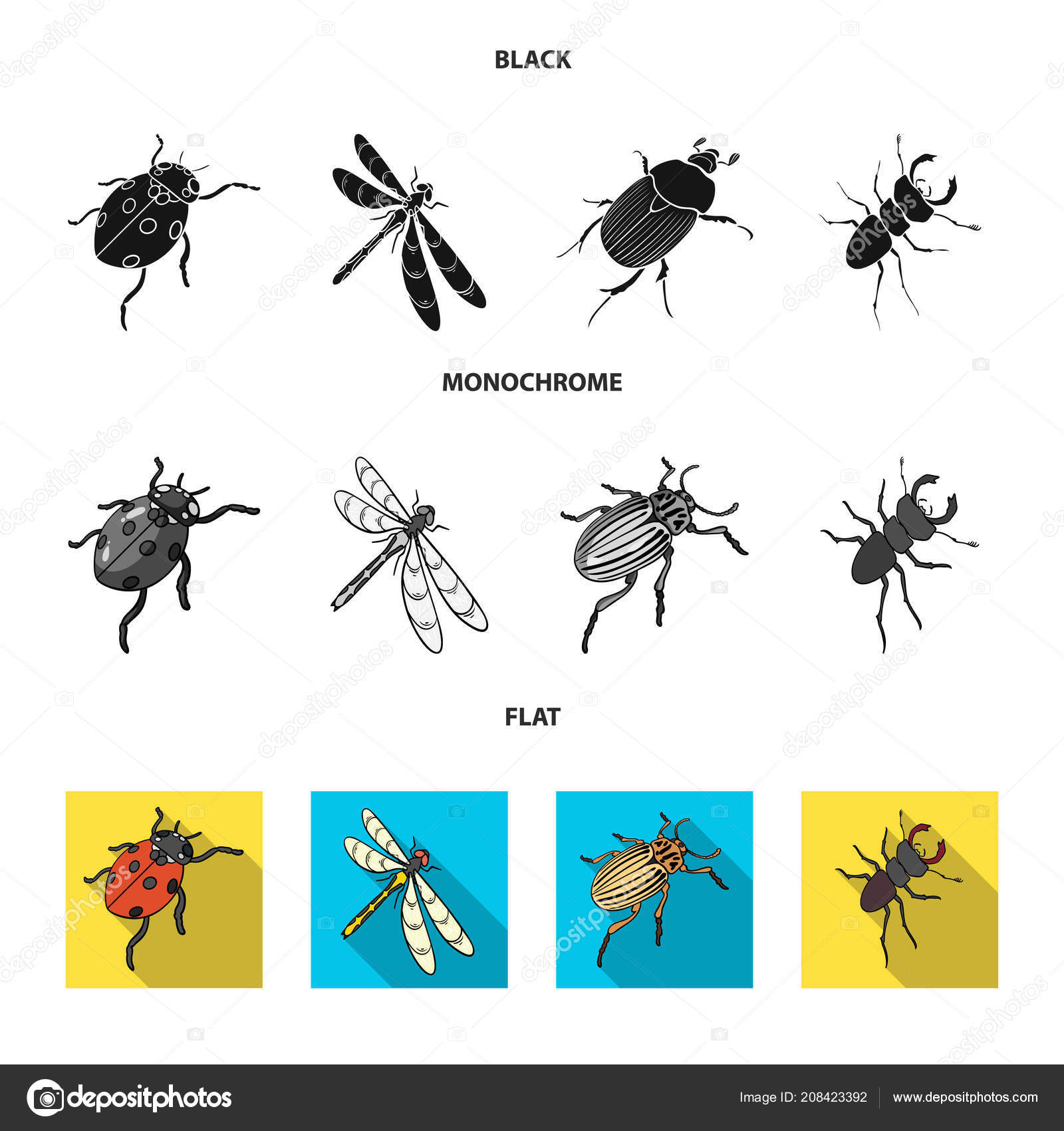 Arthropods Insect ladybird, dragonfly, beetle, Colorado beetle Insects ...