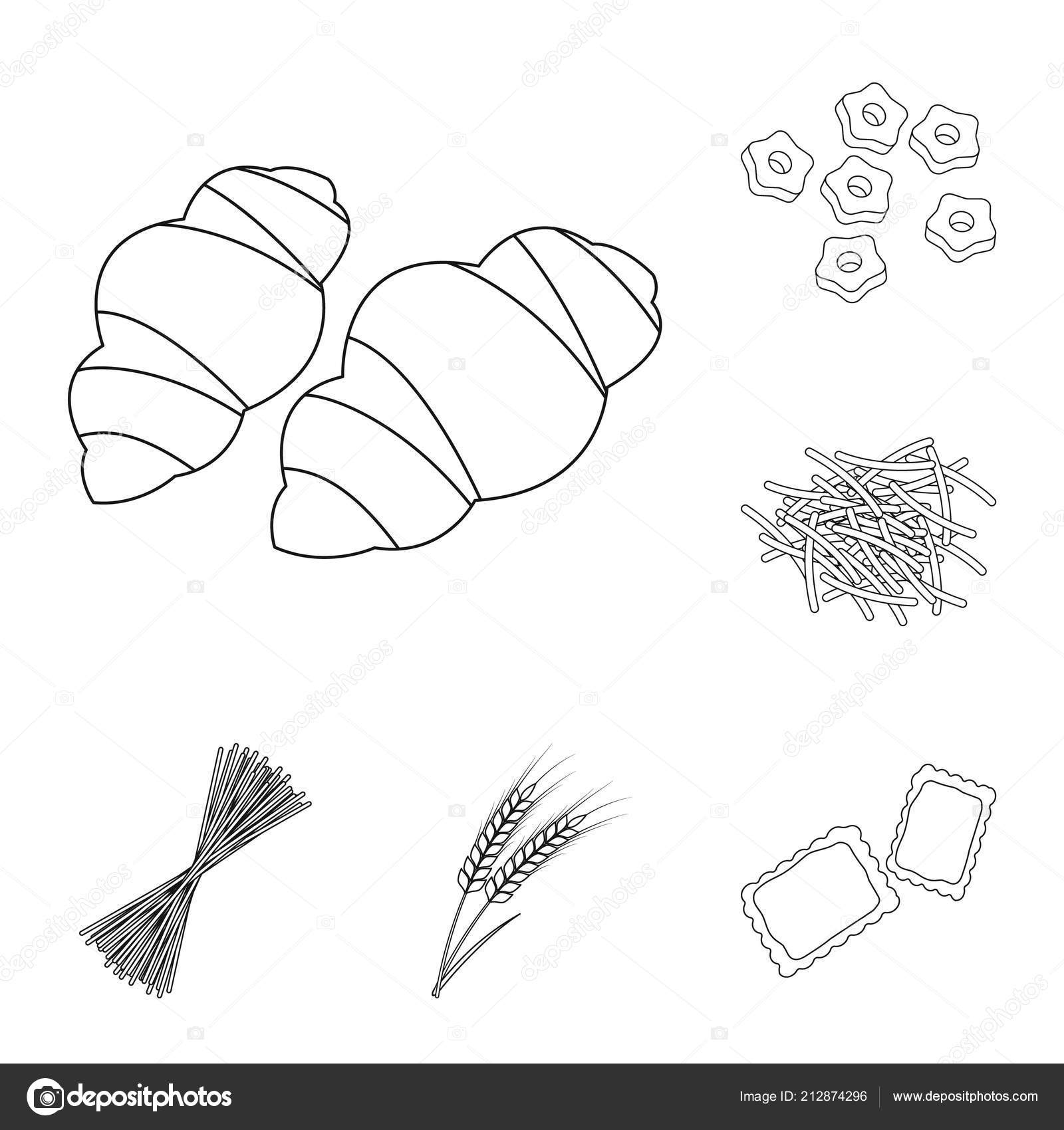 Types of pasta outline icons in set collection for design. Figured ...