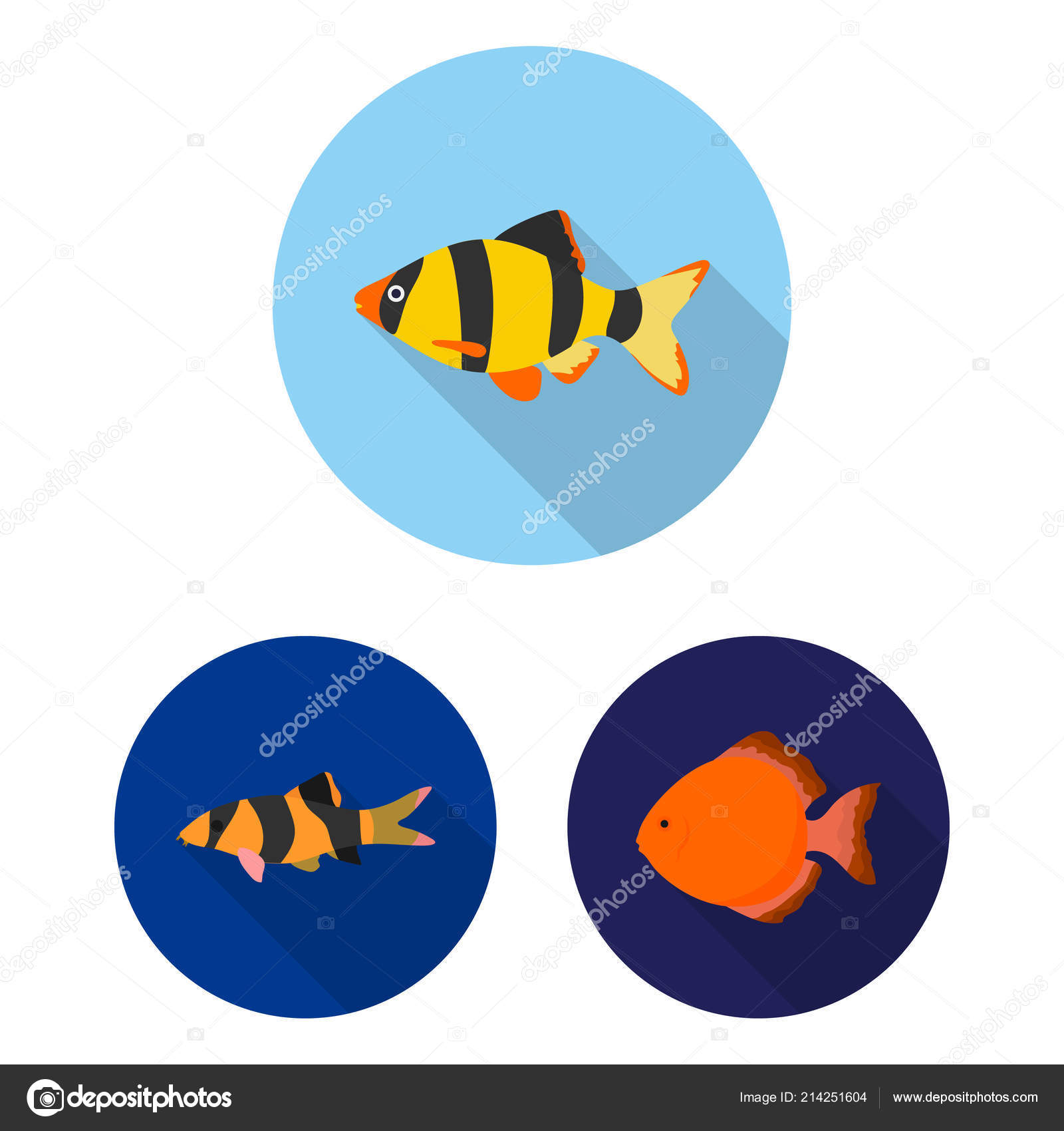 Different types of fish flat icons in set collection for design. Marine ...