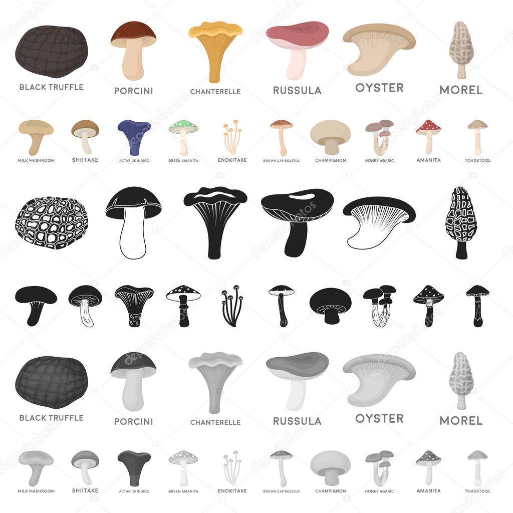 Iconos de dibujos animados de setas venenosas y comestibles en la colección de conjuntos para el ...