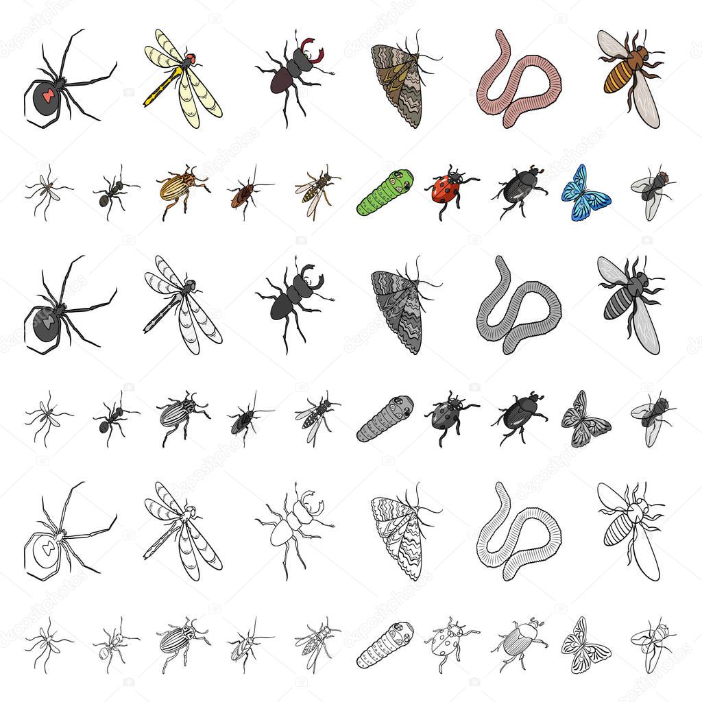 Diferentes tipos de insectos iconos de dibujos animados en la colección ...