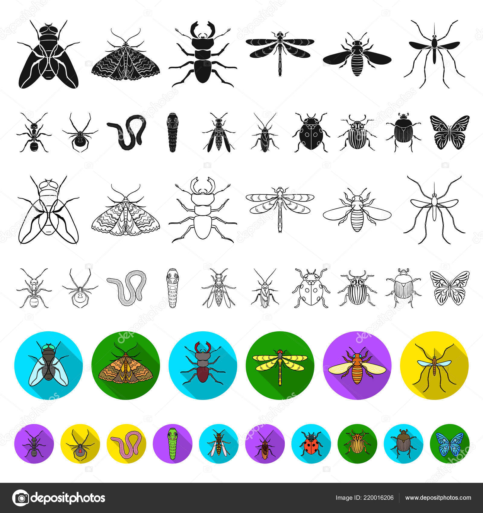 Image vectorielle Différents types d'insectes icônes plates dans la ...