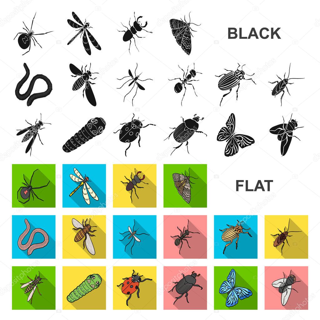 Diferentes tipos de insectos iconos planos en la colección de conjuntos ...