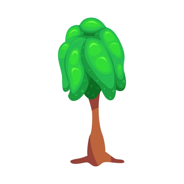 Ran tree Stock Photos, Royalty Free Ran tree Images | Depositphotos