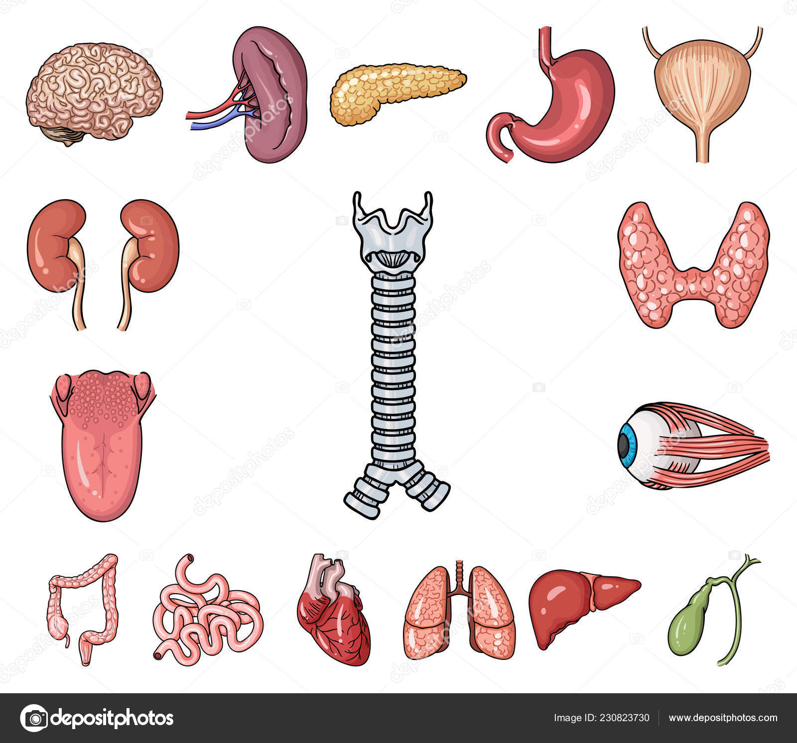 Ihmisen elimet sarjakuva kuvakkeet asetettu kokoelma suunnitteluun ...