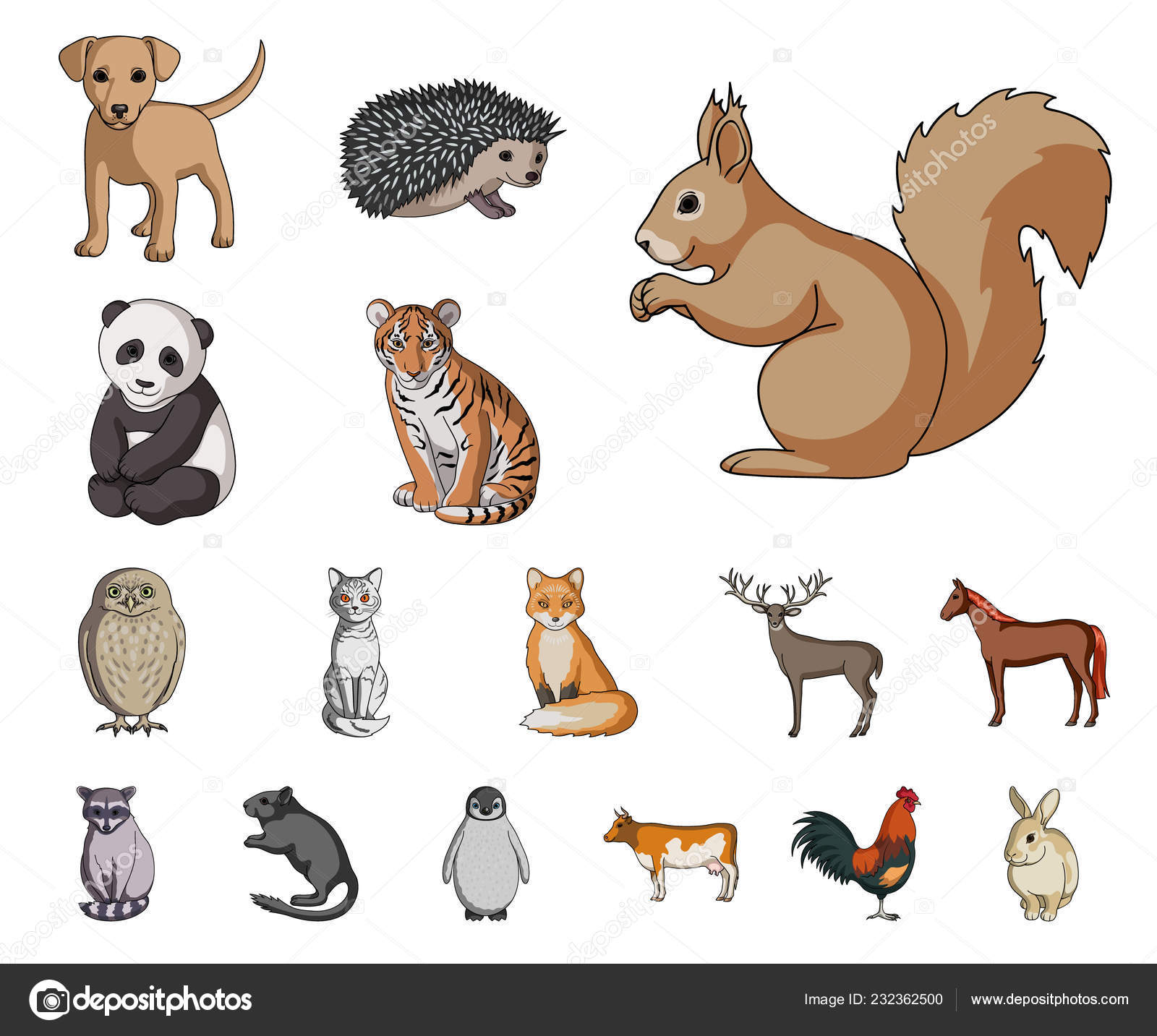 Tame Animals Clipart Photos