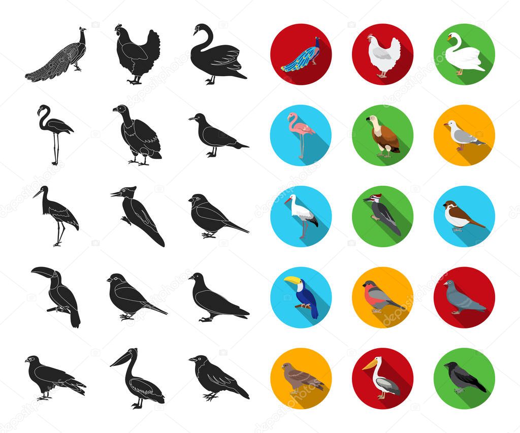Tipos de aves negro, iconos planos en la colecci n de conjuntos para el ...