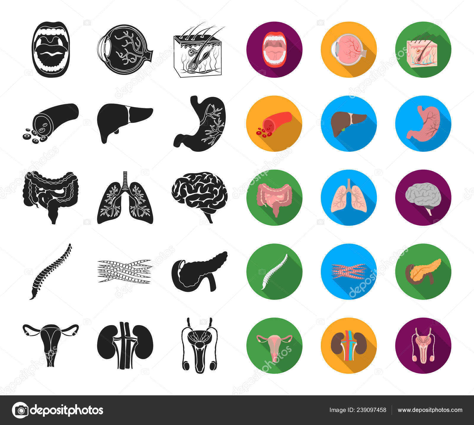 Internal organs of a human black,flat icons in set collection for ...
