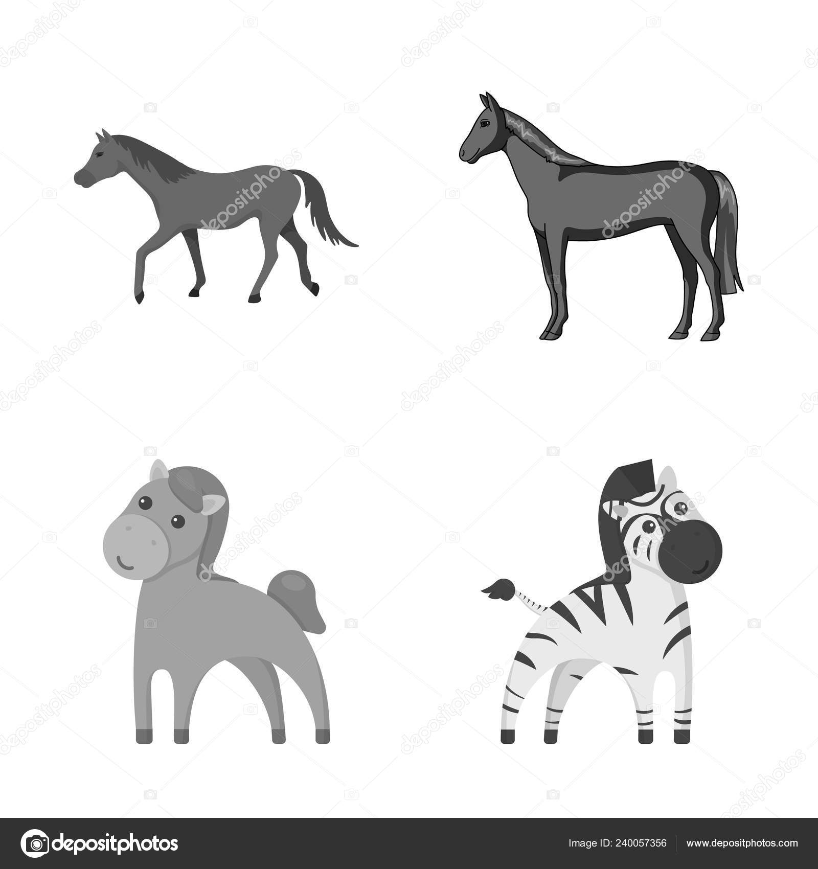 Vector design of trot and running logo. Collection of trot and clipart ...