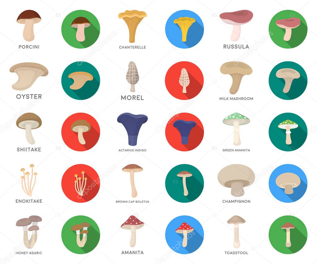 Dibujos animados de setas venenosas y comestibles, iconos planos en la colección de conjuntos ...