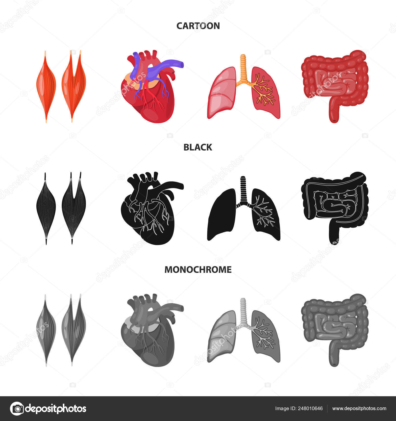 Vector illustration of biology and scientific sign. Set of biology and ...