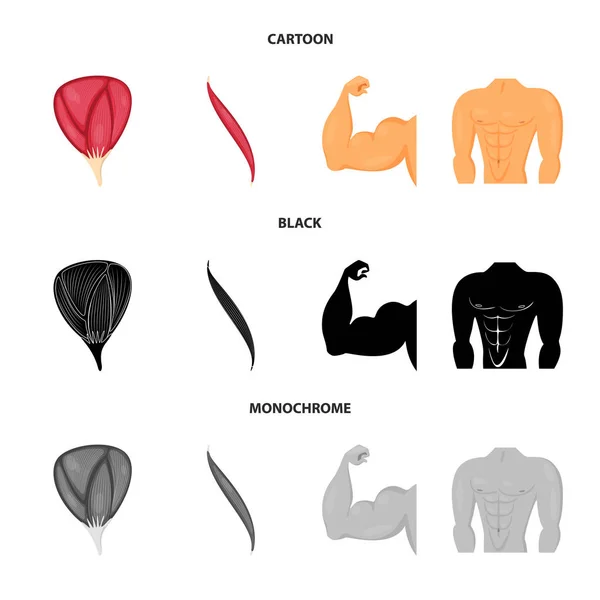 Cartoon body parts ภาพเวกเตอร์สต็อก Cartoon body parts ภาพประกอบที่ปลอด ...