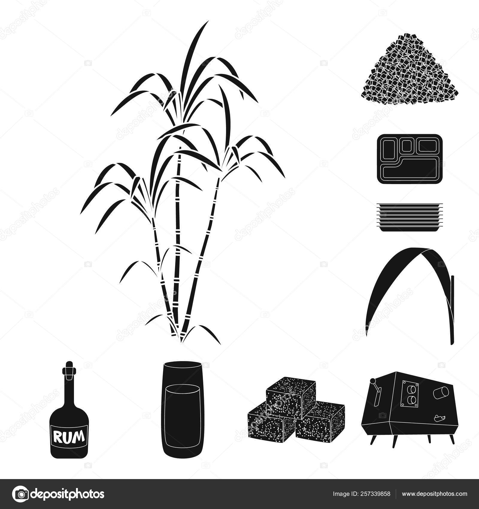 Vector design of sucrose and technology sign. Set of sucrose and cane ...