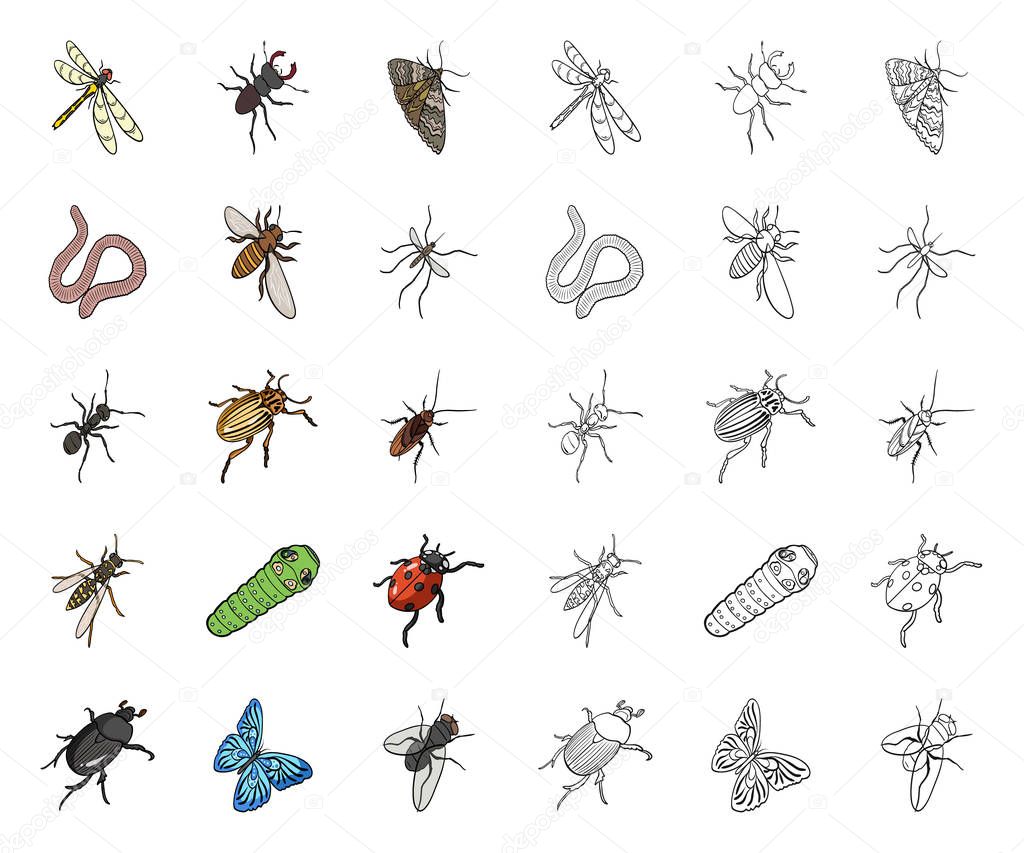 Diferentes tipos de dibujos animados de insectos, esbozan iconos en la ...