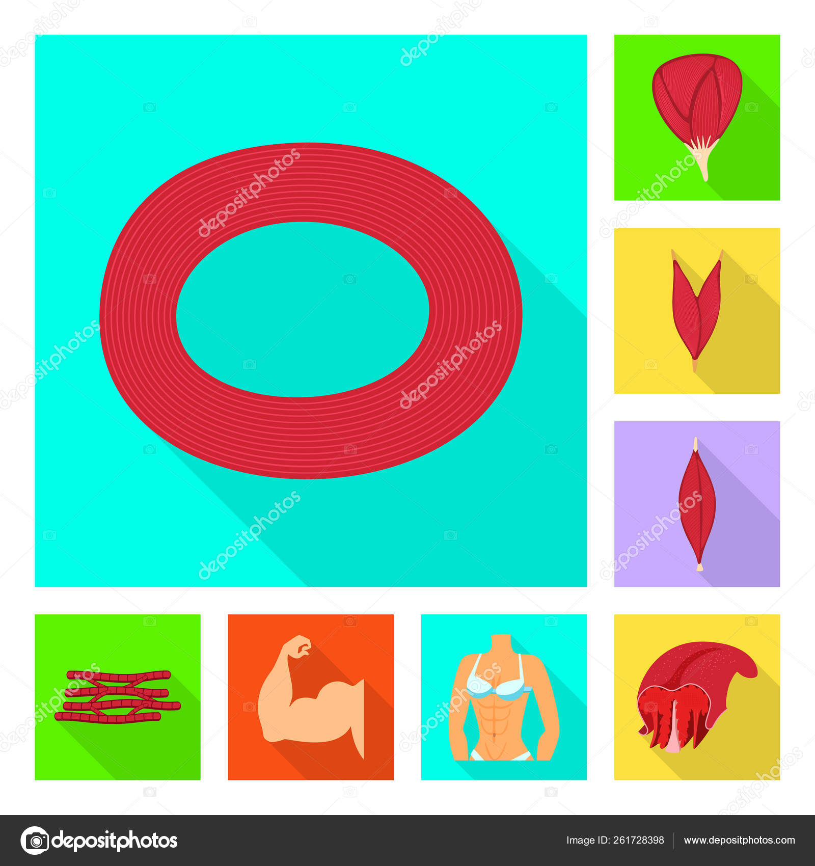Isolated object of muscle and cells icon. Set of muscle and anatomy ...