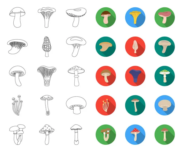 Esquema de setas venenosas y comestibles, iconos planos en la colección de conjuntos para el ...