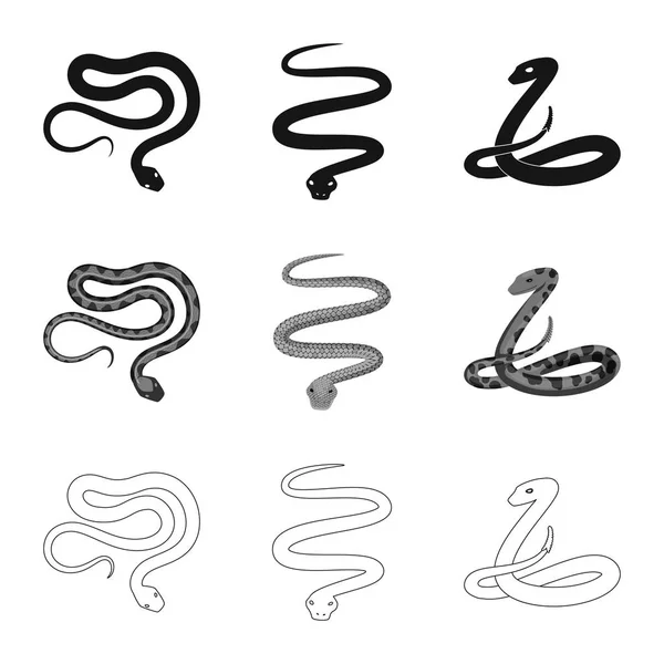 Python scale Stock Photos, Royalty Free Python scale Images | Depositphotos