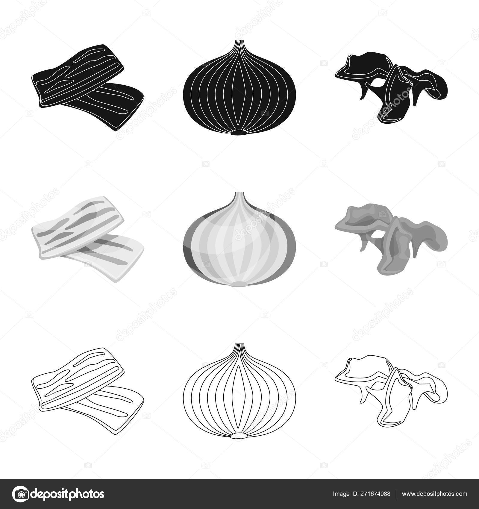 Diseño vectorial de sabor y signo de producto. Conjunto de sabor y ...