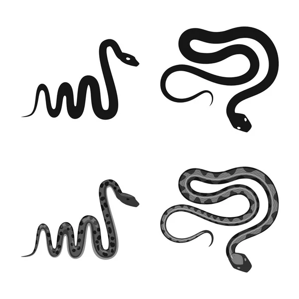 Python scale Stock Photos, Royalty Free Python scale Images | Depositphotos