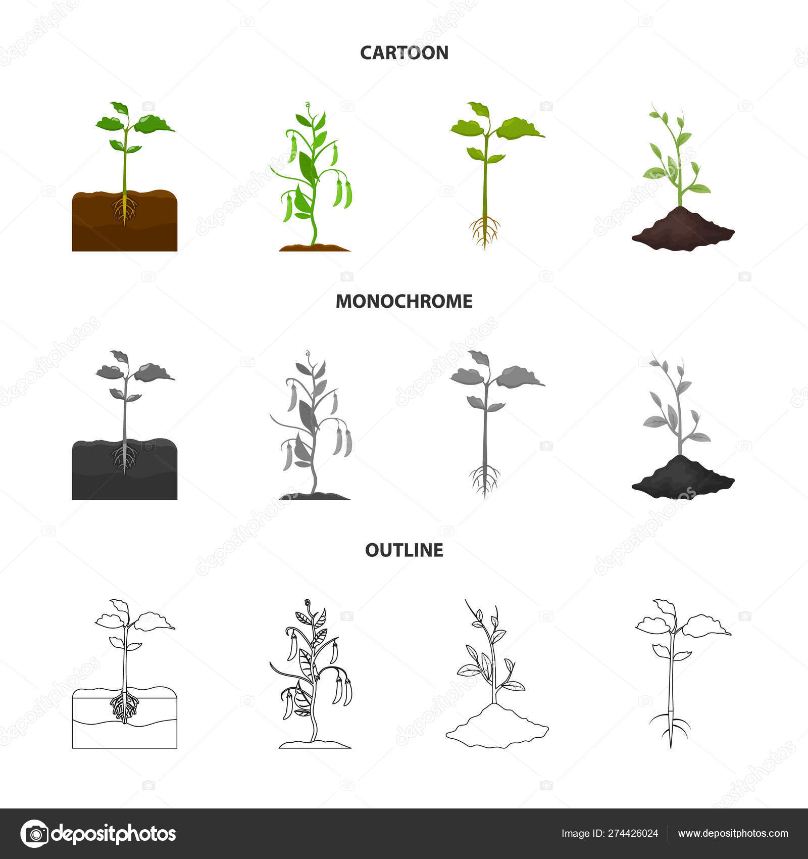 Vector illustration of plant and bean sign. Collection of plant and ...