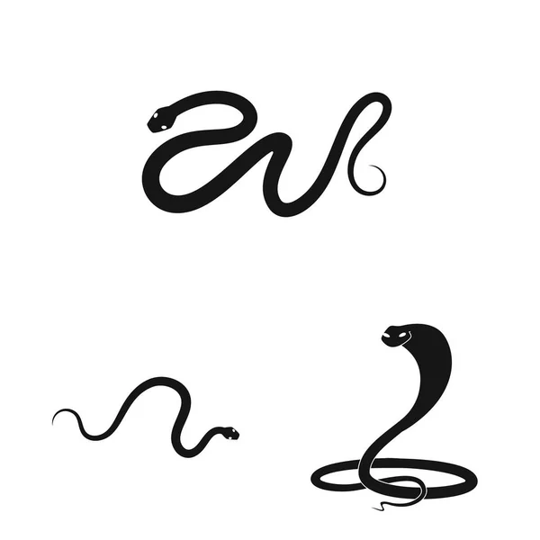 Sibilants de serpent Stock Photos, Royalty Free Sibilants de serpent ...