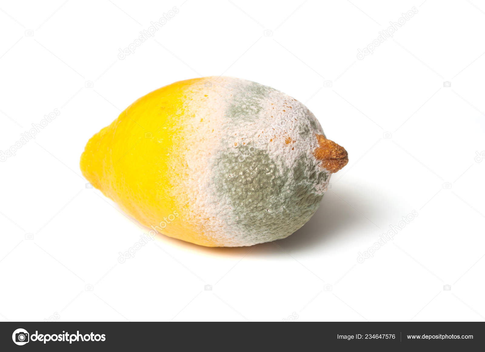 Closeup Mold Lemon White Background Stock Photo by ©NeydtStock 234647576