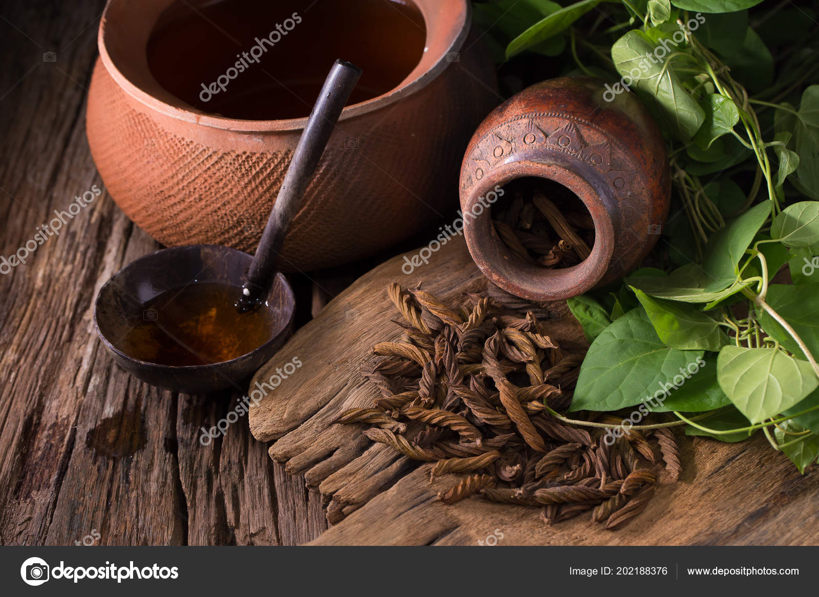 East Indian Screw Tea Cup Tea Wooden Background — Stock Photo ...