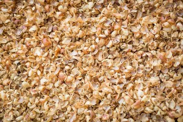 Wood cowwheat Stock Photos, Royalty Free Wood cowwheat Images ...