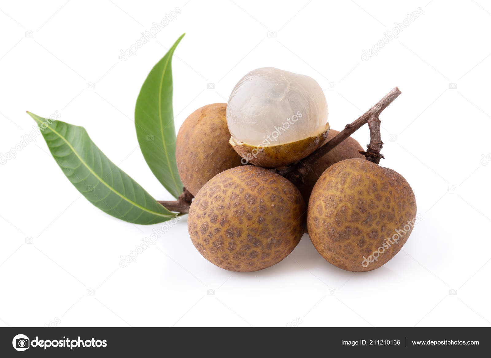 Fresh Longan Fruit