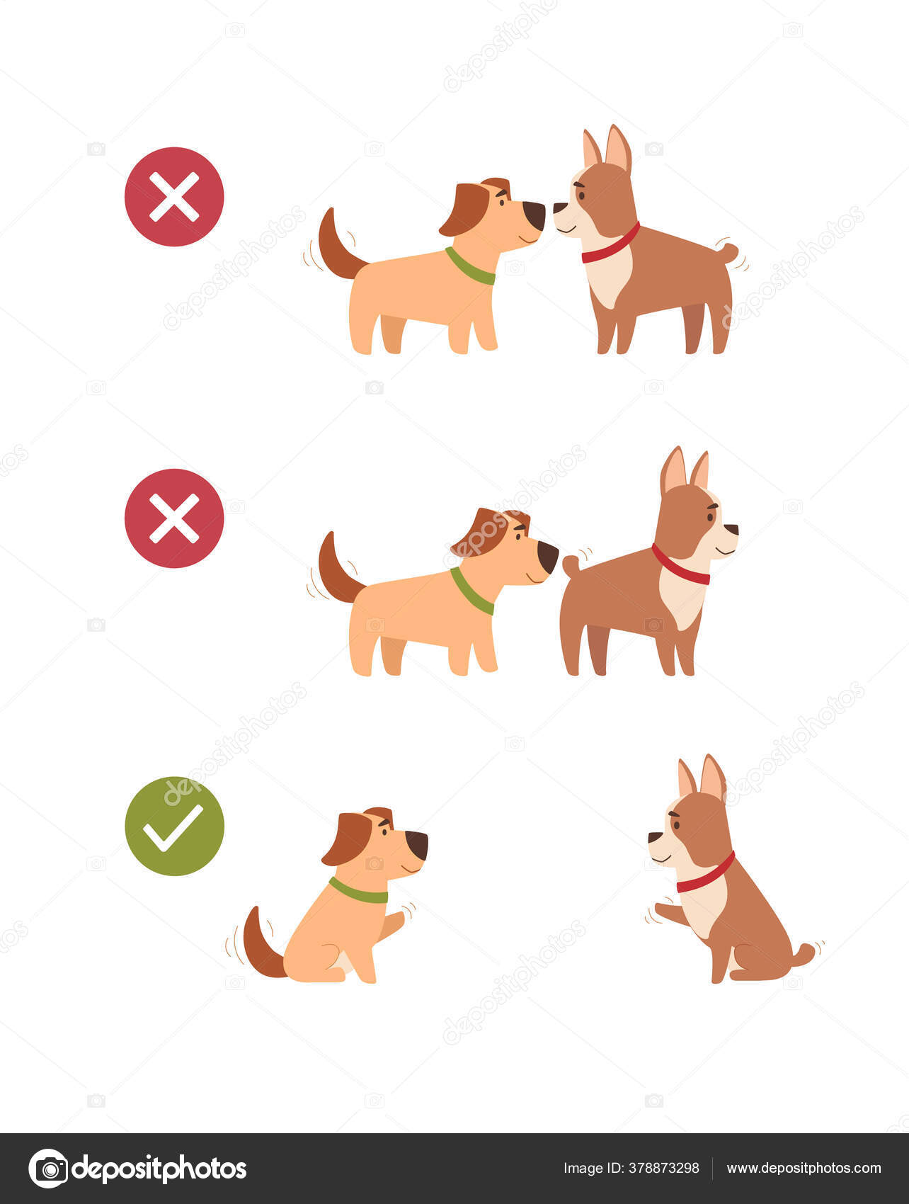 Dogs also keep a social distance. Animals observe safety precautions ...