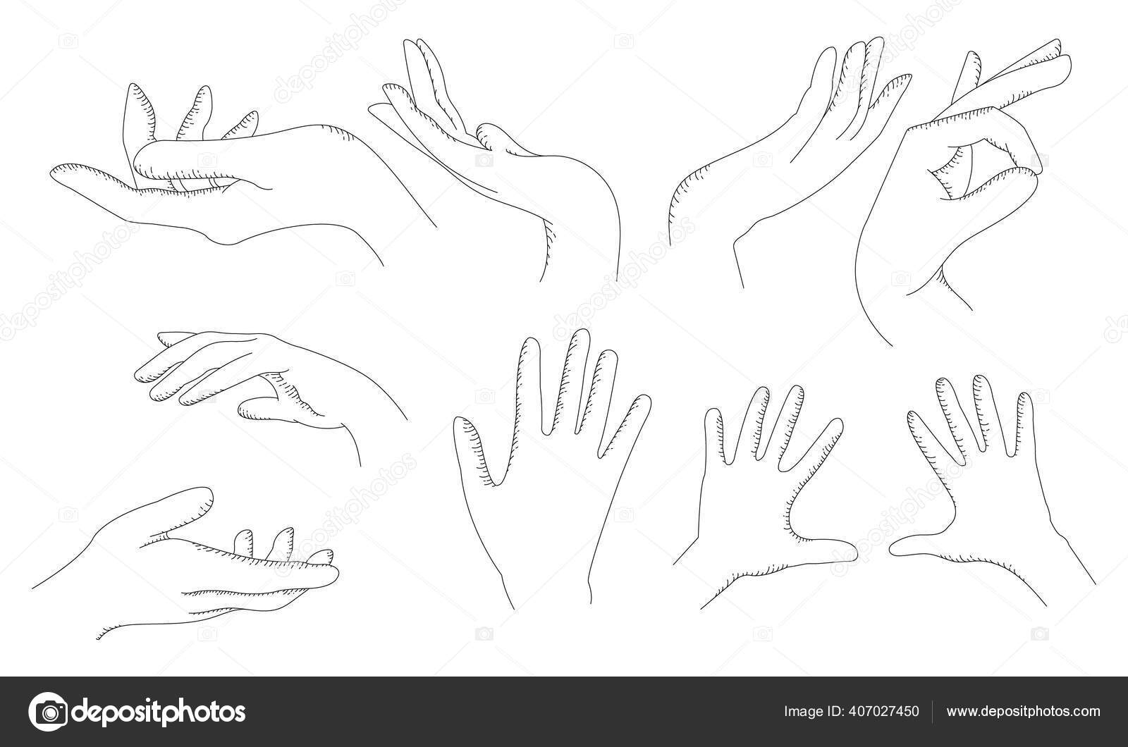 Set Vector Hands Line Illustration Young Women Collection Hand Drawing ...