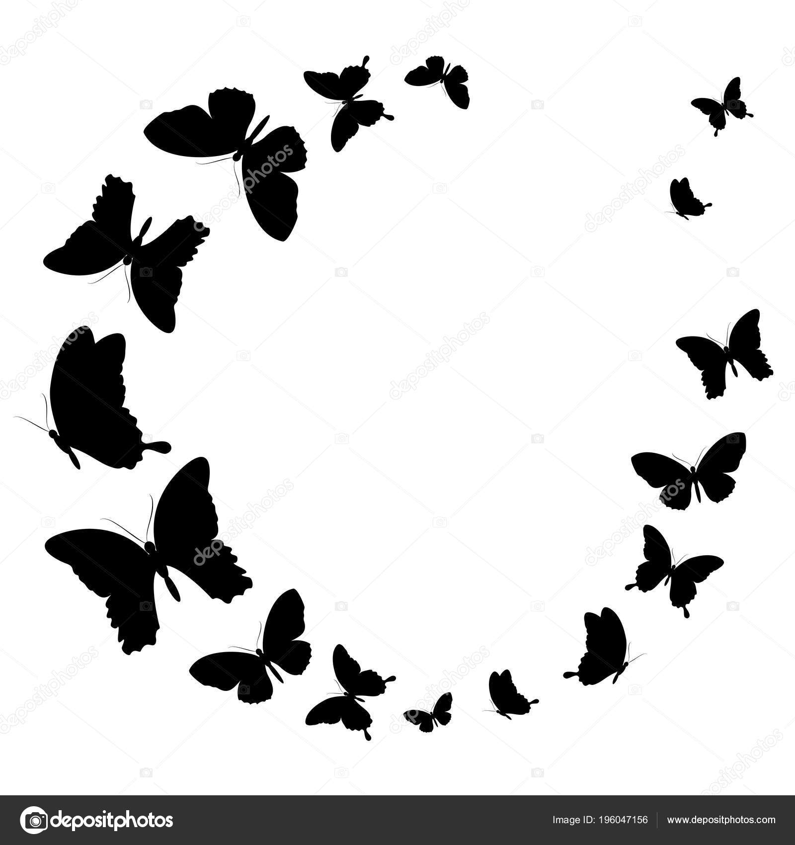 Flying Butterfly Black And White