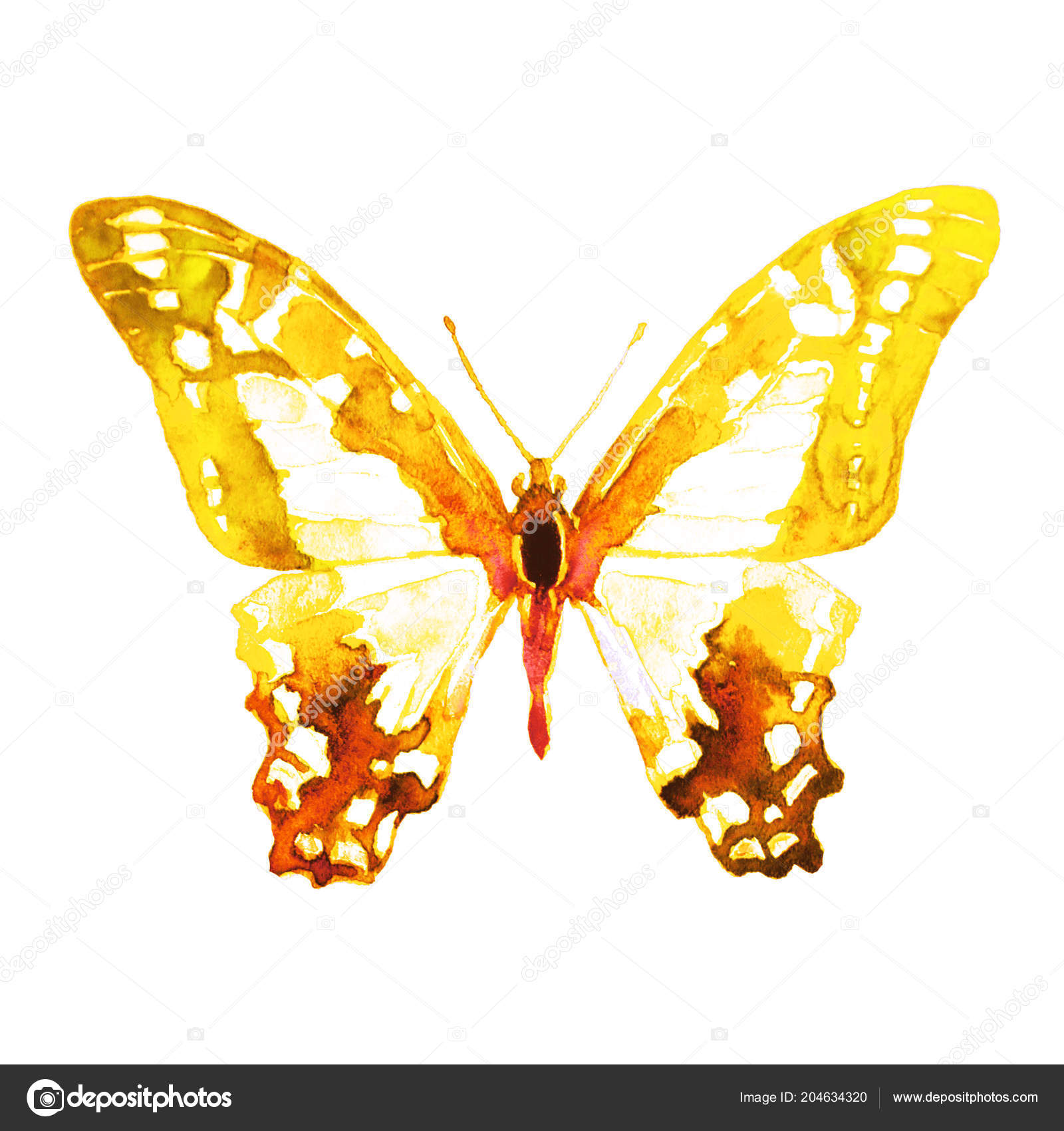 Clip Art Farfalla Gialla