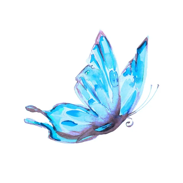 Ocean butterfly Stock Photos, Royalty Free Ocean butterfly Images ...