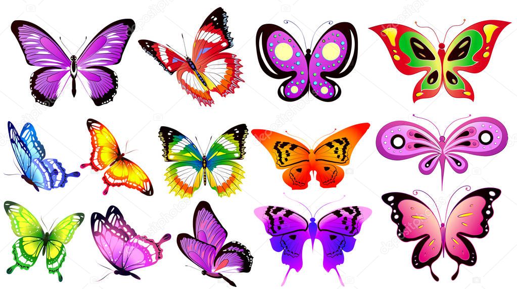 conjunto de hermosas mariposas de colores aislados sobre fondo blanco 2022