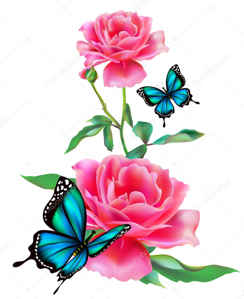 hermosa rosa rosa y mariposas azules aisladas sobre fondo blanco 2024