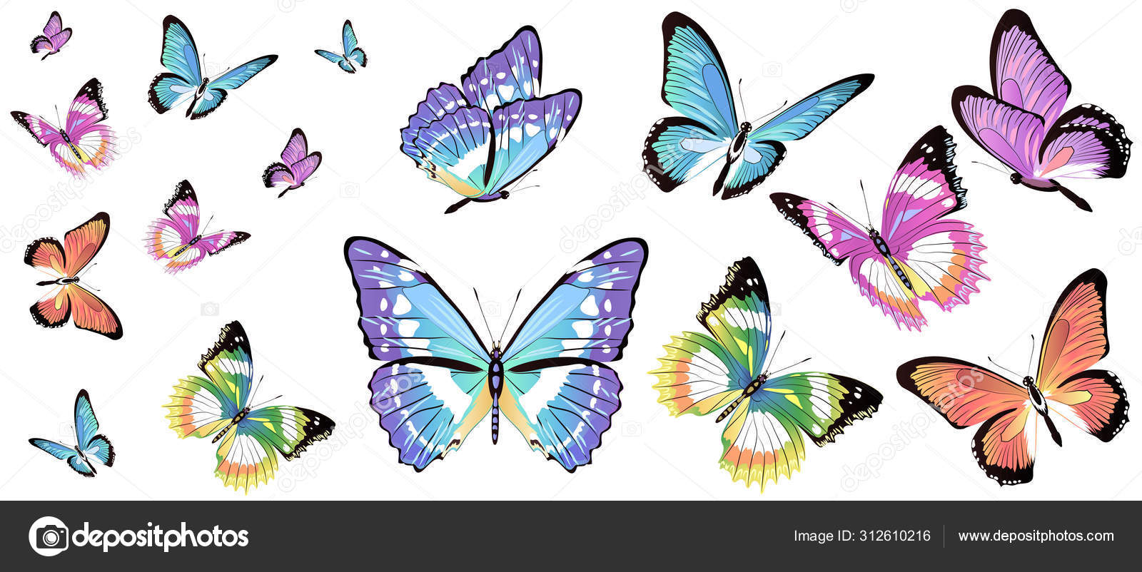 Bright Colorful Butterflies Isolated White Background Stock Vector by ...