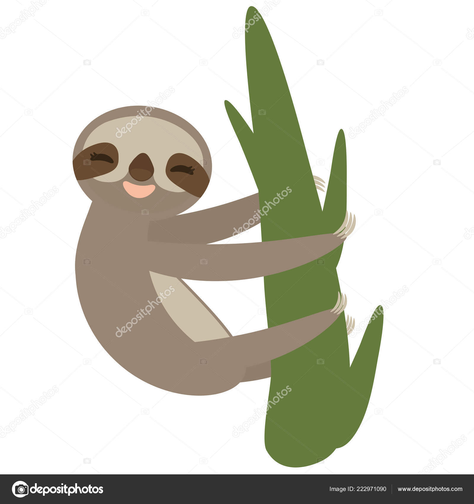 Three Toed Sloth Green Branch White Background Vector Illustration ...