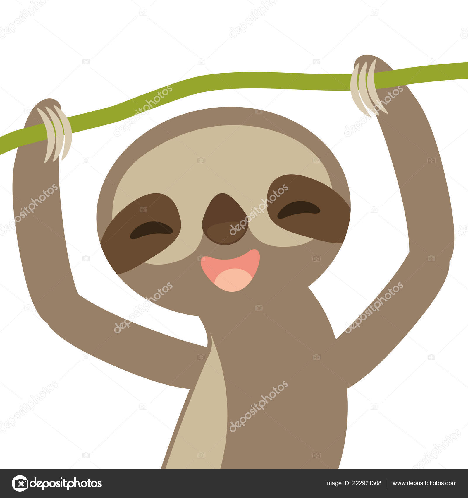 Funny Cute Smiling Three Toed Sloth Green Branch Isolated White Stock ...
