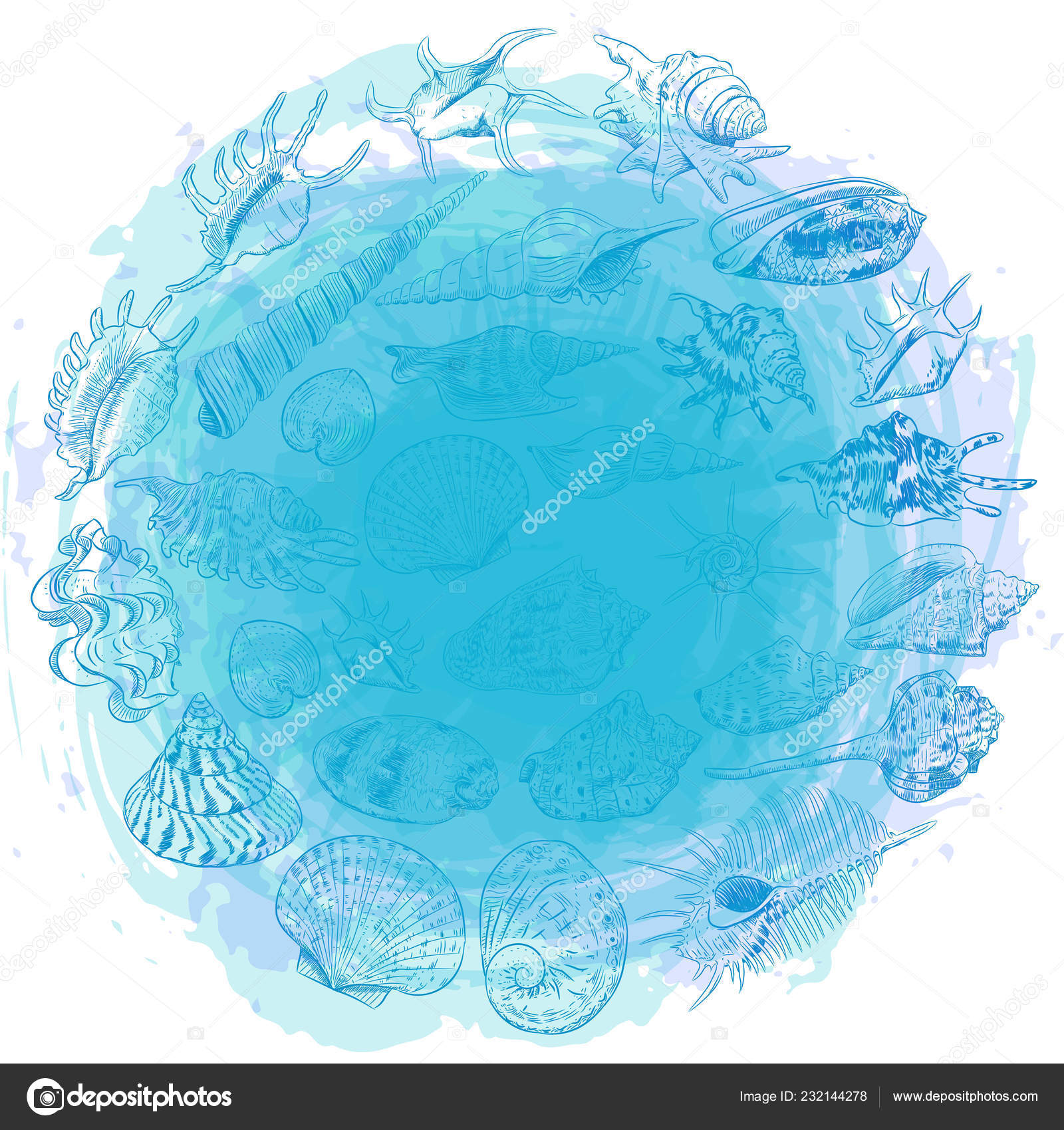 Symbol Ocean Trendy Print Composition Summer Sea Shells Molluscs Blue ...