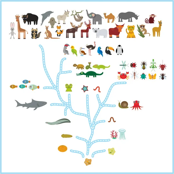 Evolution in biology, scheme evolution of animals isolated on white ...