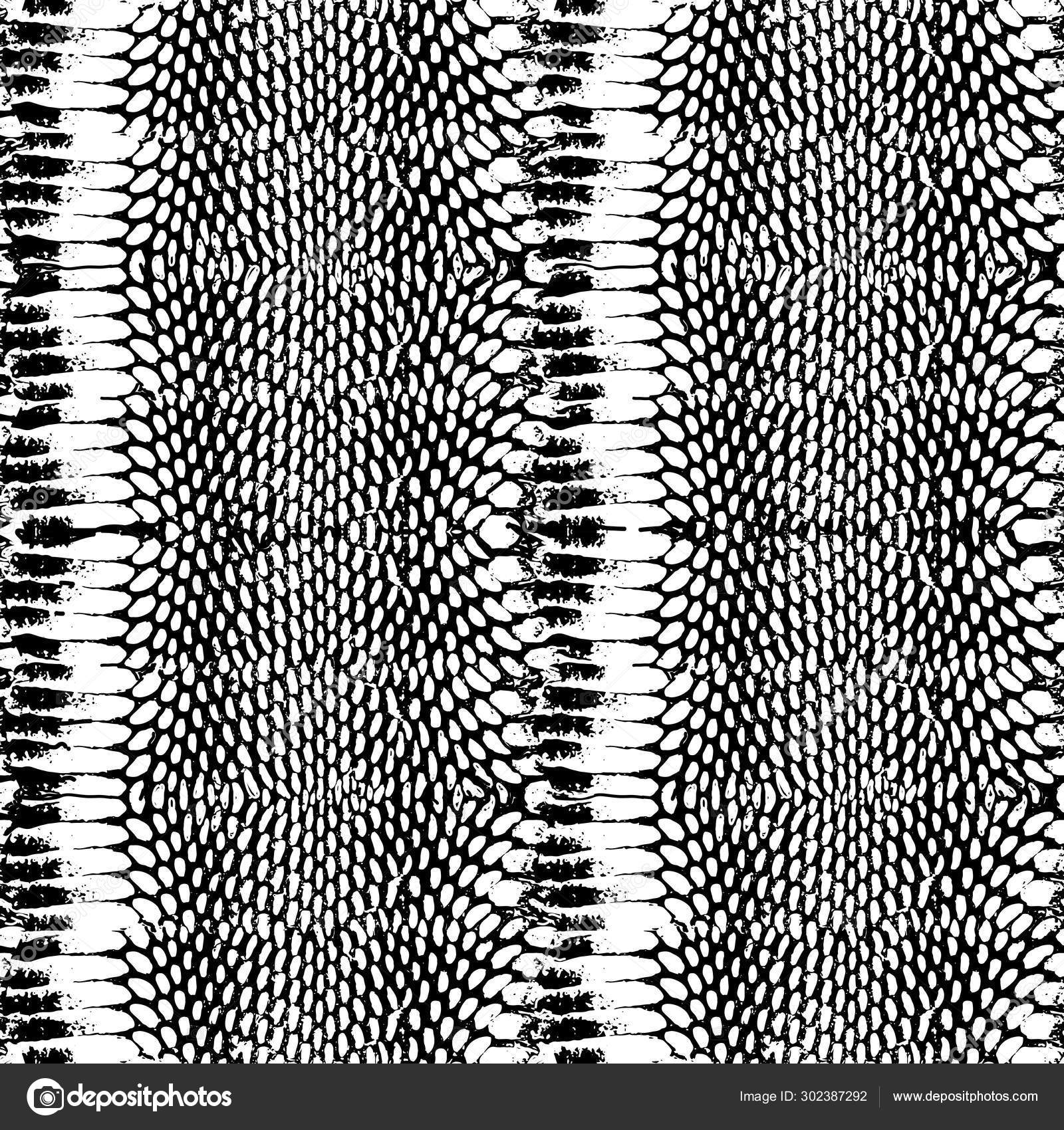 Snake skin scales texture. Seamless pattern black isolated on white ...