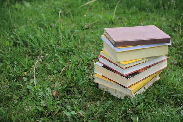Stacked books in grass Stock Photos, Royalty Free Stacked books in ...