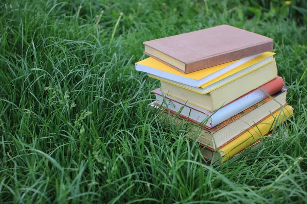 Stacked books in grass Stock Photos, Royalty Free Stacked books in ...