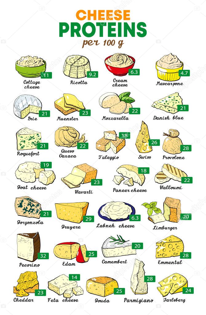 Nutrientes de ilustración vectorial por 100 gramos de queso tabla ...