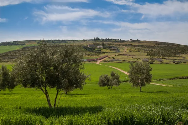 Israel countryside Stock Photos, Royalty Free Israel countryside Images ...