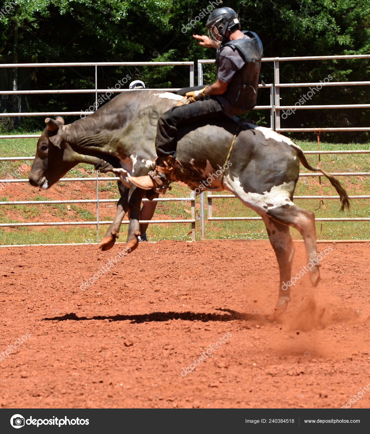 Bunch Bull Riders Local Rodeo Riding Dangerous Horned Four Legged ...