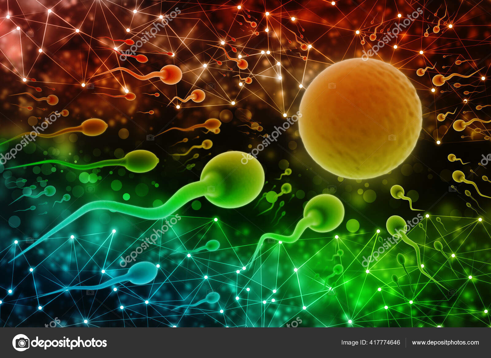 Sperm Egg Cell Scientific Background Human Reproduction Concept ...