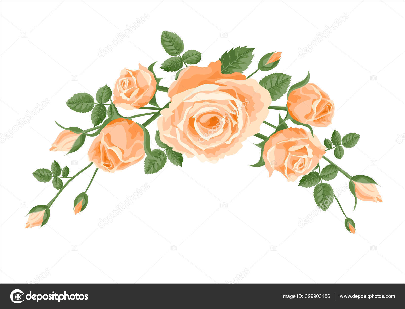 Bouquet Garland Roses Vector Flower Decoration Anniversary Cards ...